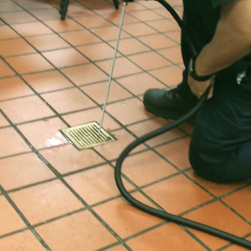 Drain Wizard - TWB Innovations